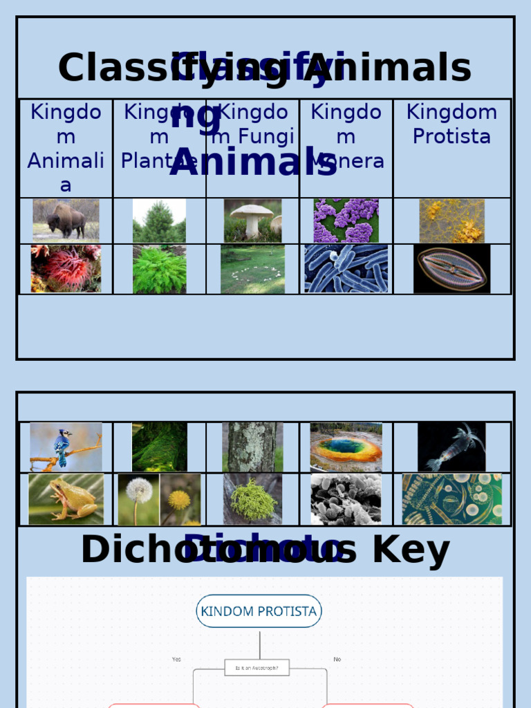 Classifying Animals | PDF