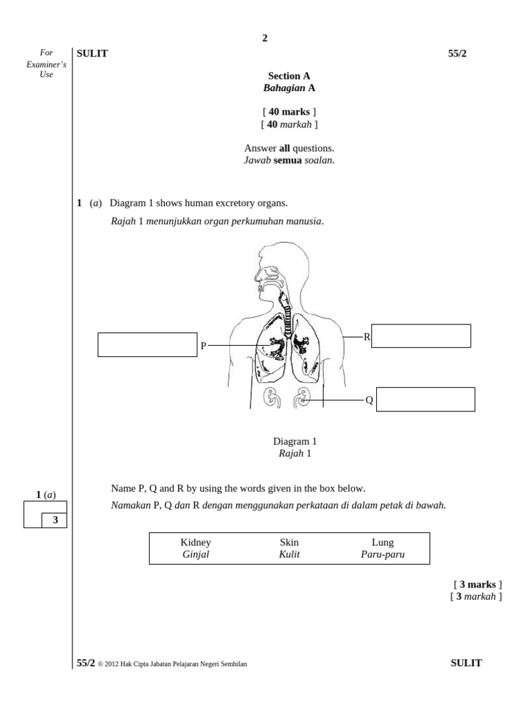PraPMR Sains K2 2012 | PDF | Urinary System | Morphology (Biology)
