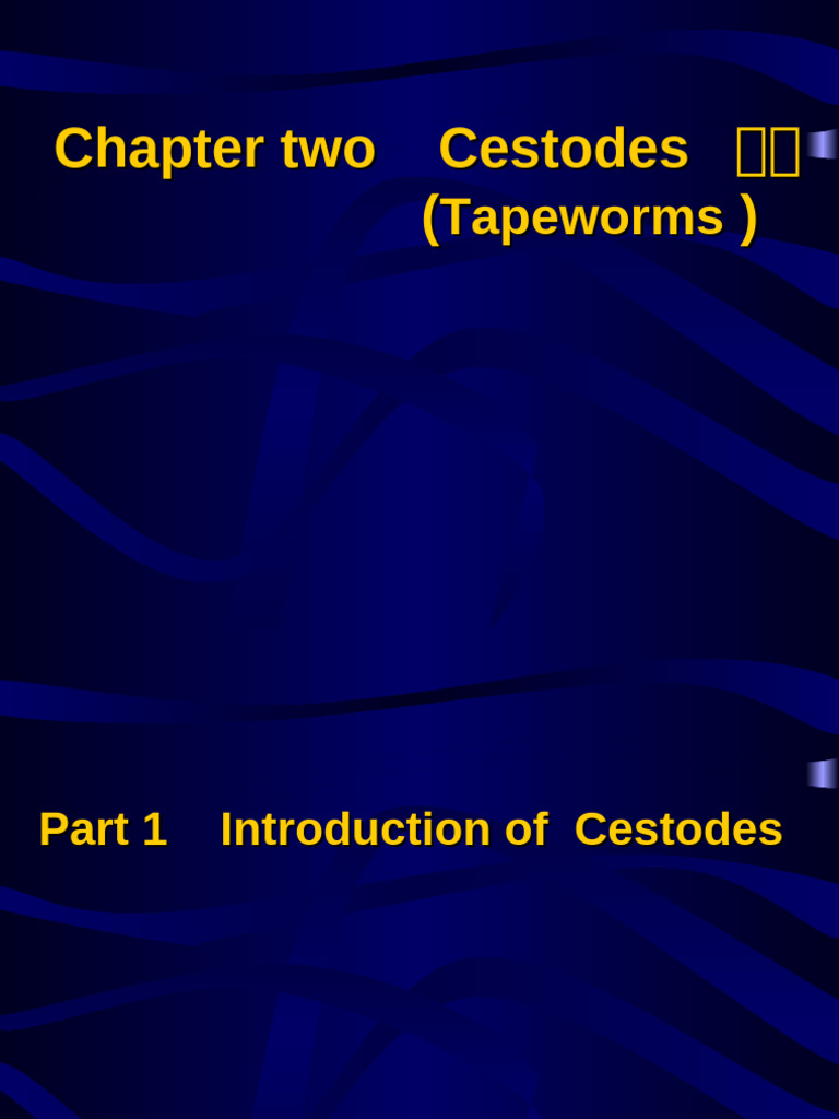 Cestodes (Tapeworms Introduction | PDF | Protostomes