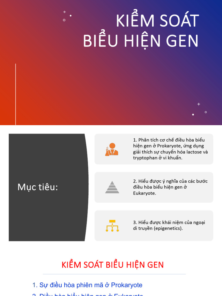 Kiểm Soát Biểu Hiện Gen 2 | PDF