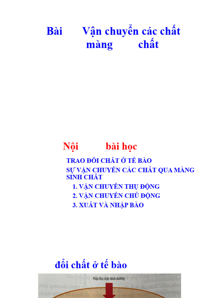 Bai 11 Bai Giang Powerpoint Mon Sinh Hoc 10 Chan Troi Sang Tao 62417 | PDF