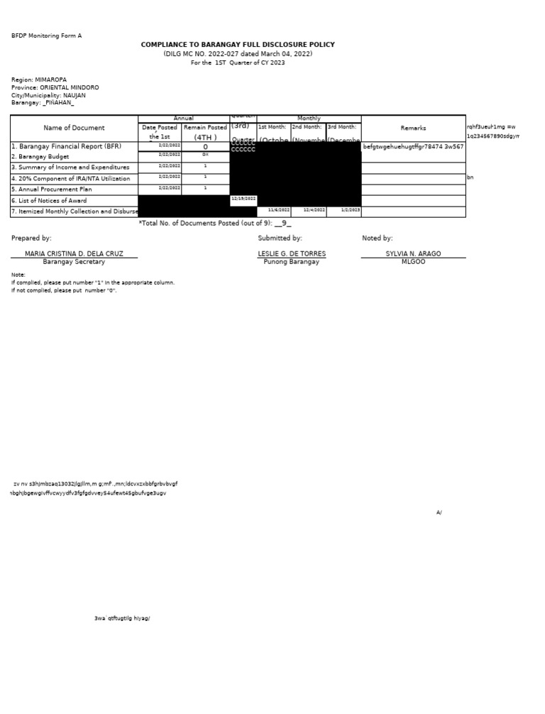 BFDP-Form NEW FOR BARANGAY | PDF
