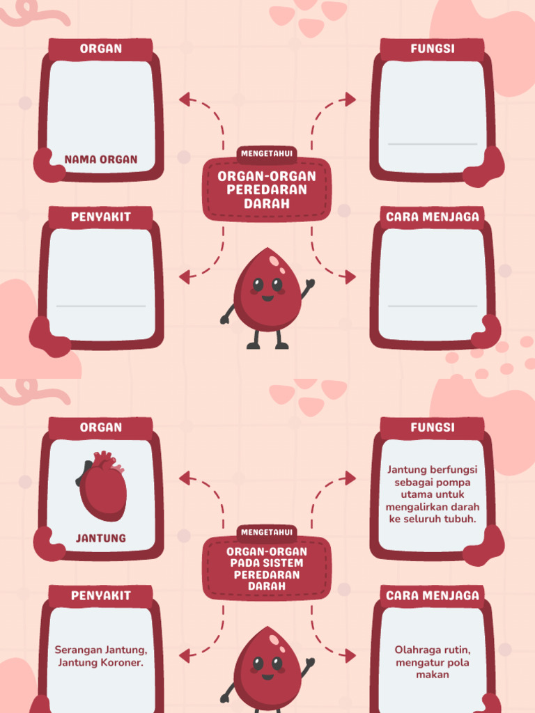 Sistem Peredaran Darah Peraga Konsep Visual Merah Ilustrasi - 20241104 ...