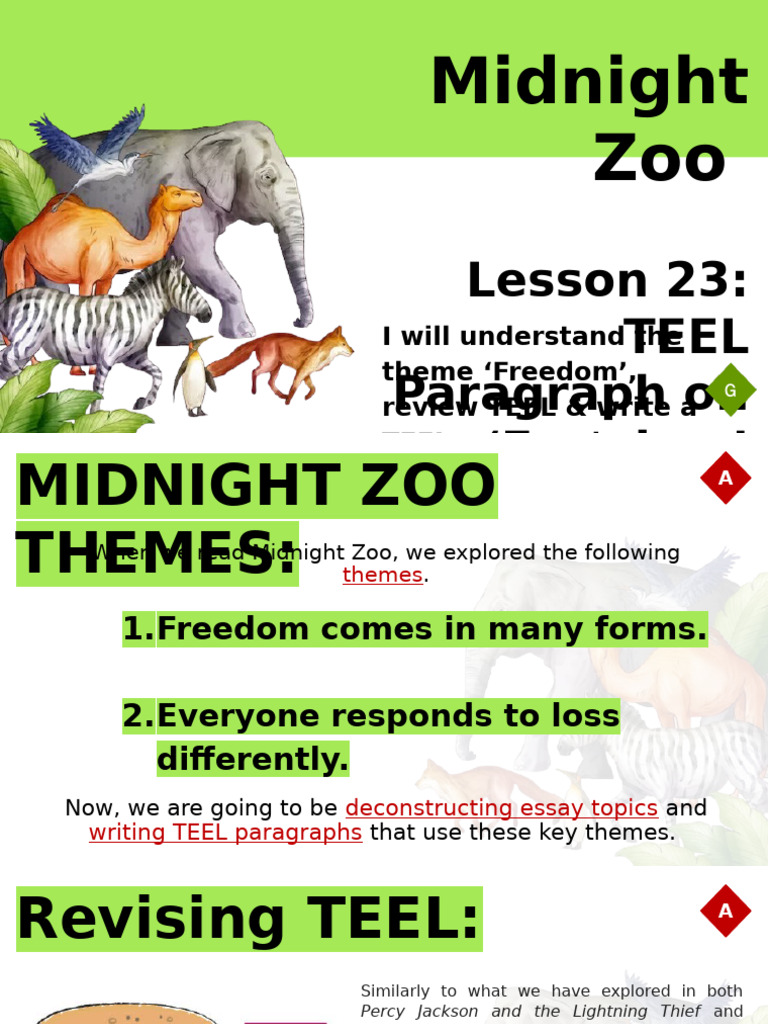 MZ - L24 TEEL Paragraph On Freedom | PDF | Human Communication