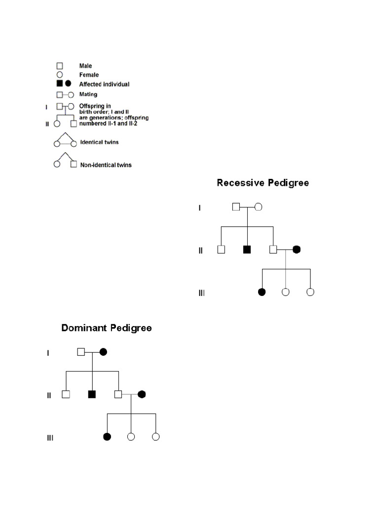 Bio File Print | PDF