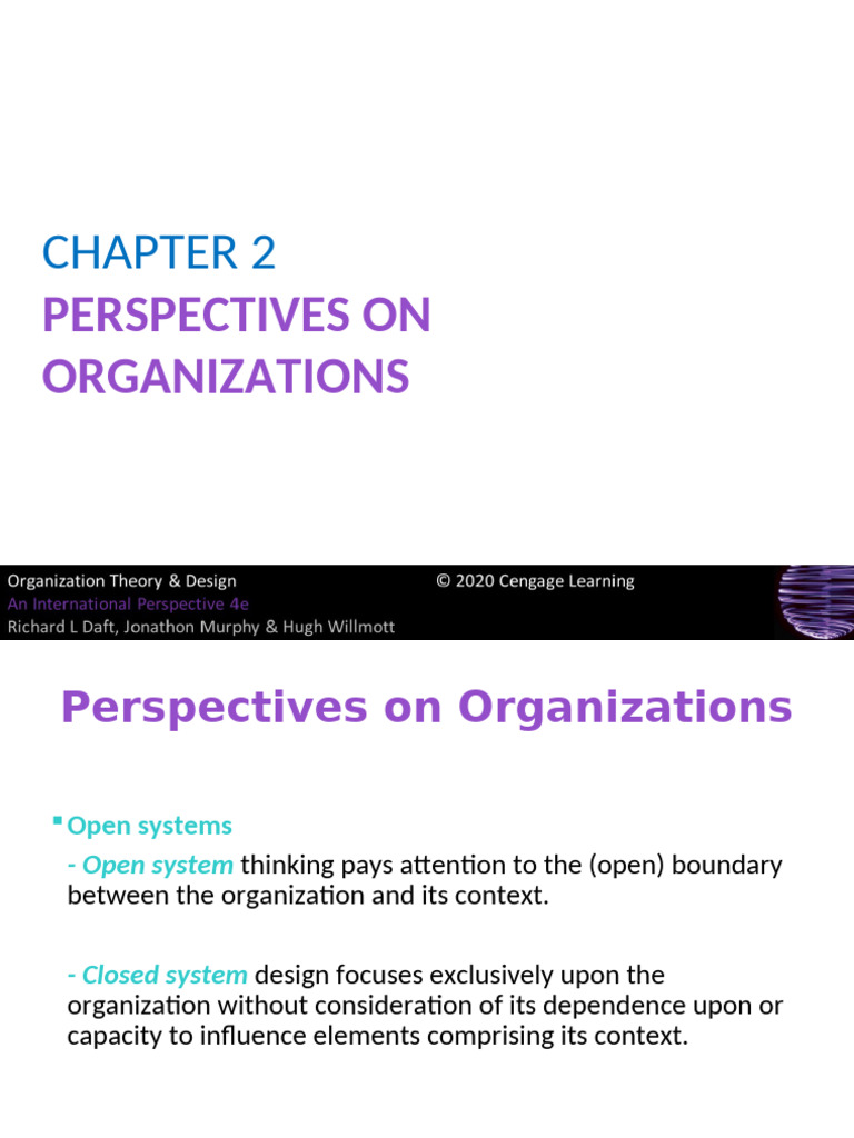 Perspectives On Organizations-2 | PDF | System | Cognition