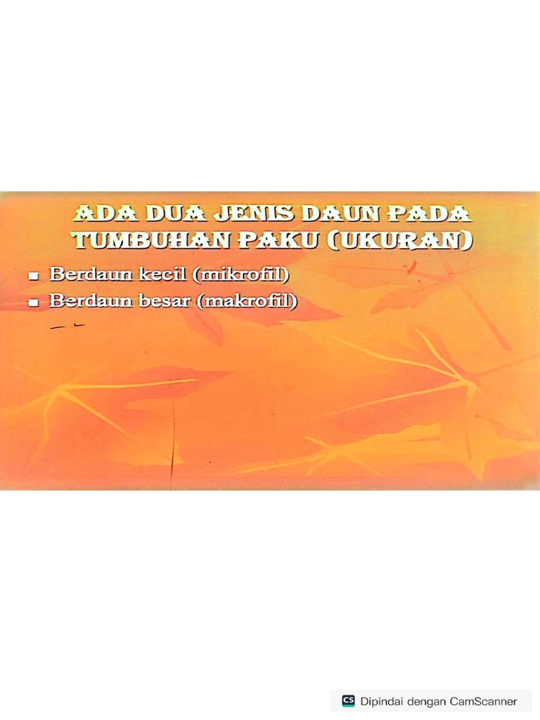 Catatan Bio Kelad 10 | PDF