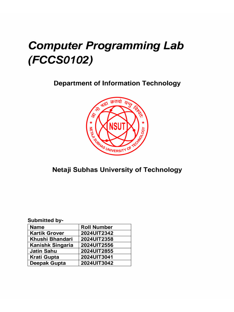 Computer Programming Project | PDF