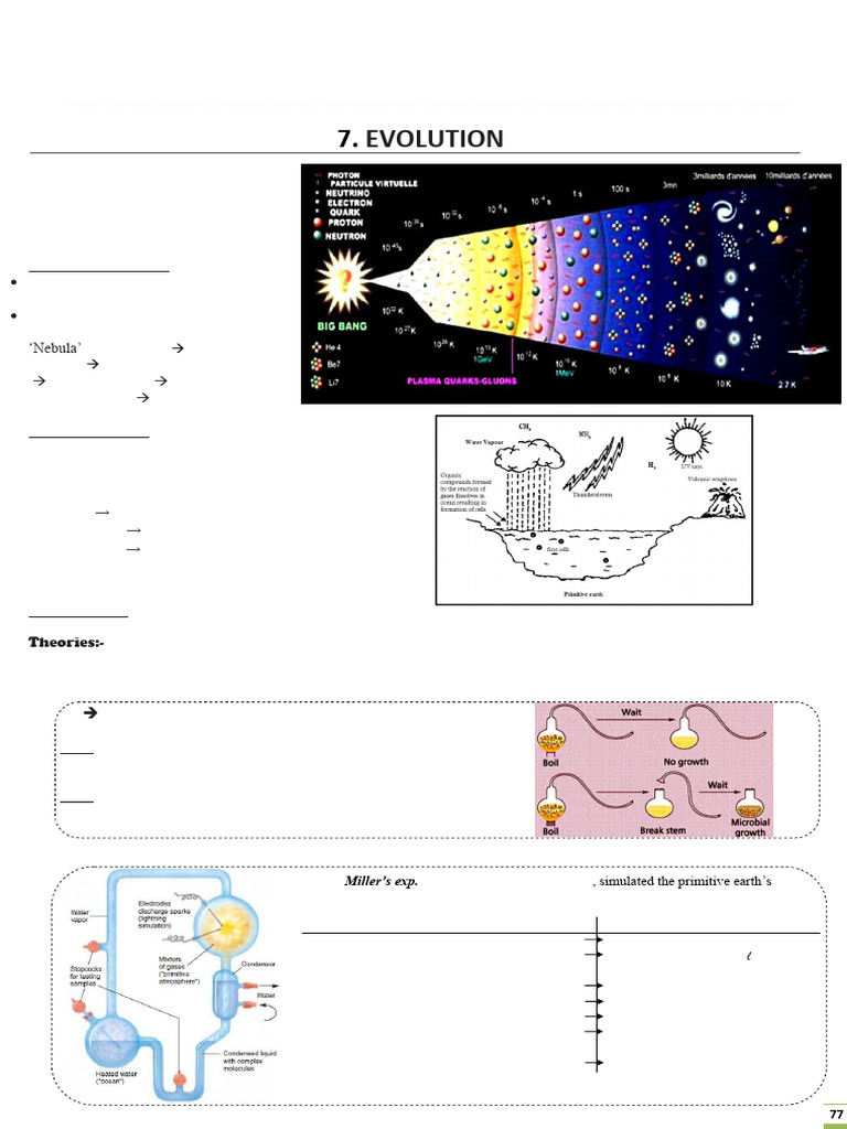 XII CH 7 EVOLUTION Hsslive | PDF | Natural Selection | Allele