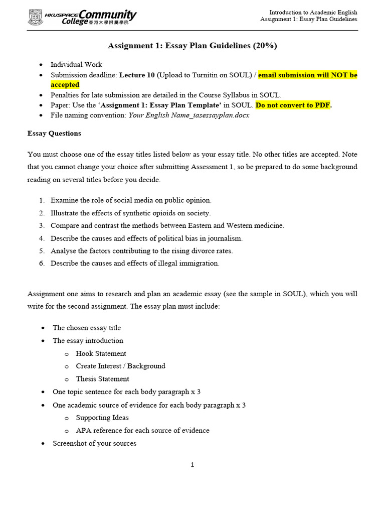01 Essay Plan Guidelines | PDF | Essays | Paragraph
