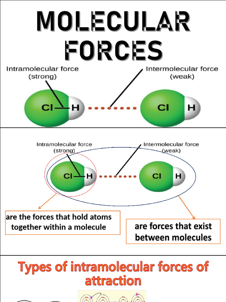 Molecular Forces | PDF