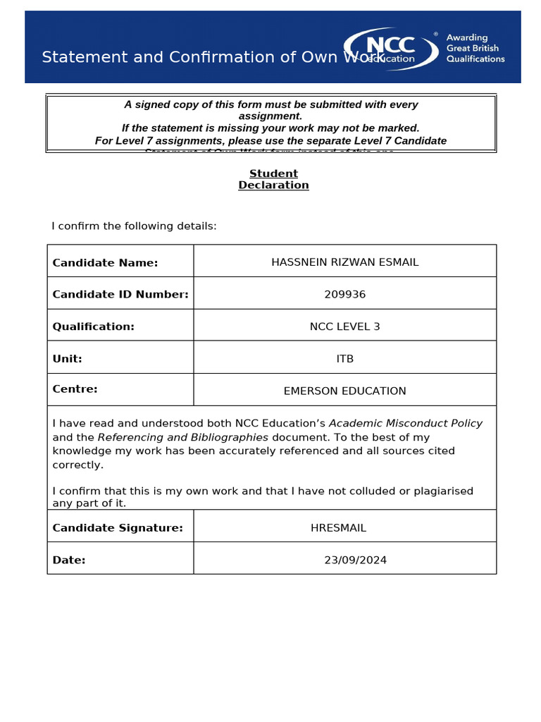 ITB Assignment Hassnein Rizwan Esmail Student Number 209936 | PDF | Marketing | Nike