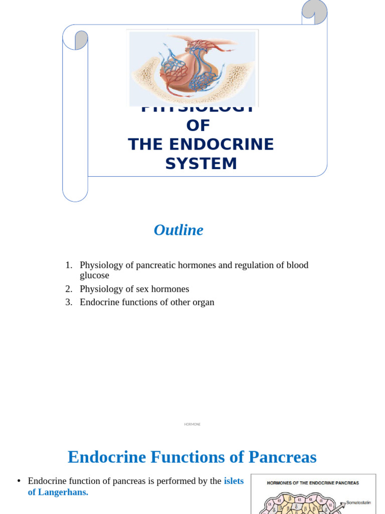 Endocrine Lecture Day 4 | PDF | Insulin | Luteinizing Hormone