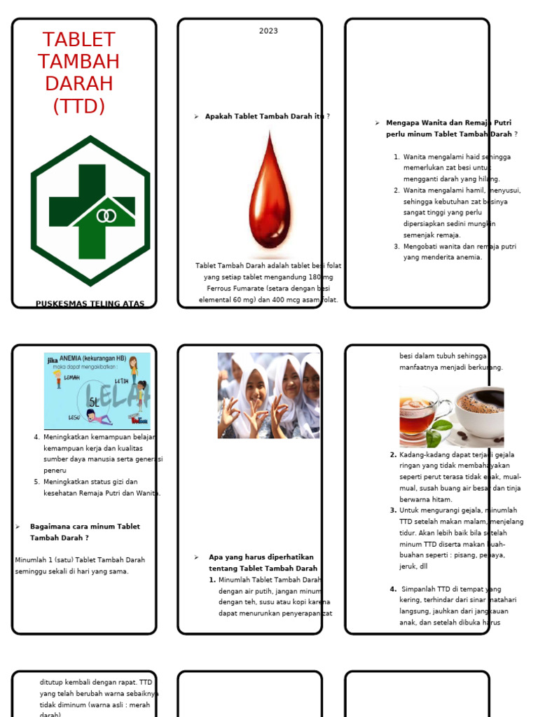 Manfaat dan Cara Konsumsi Tablet Tambah Darah | PDF