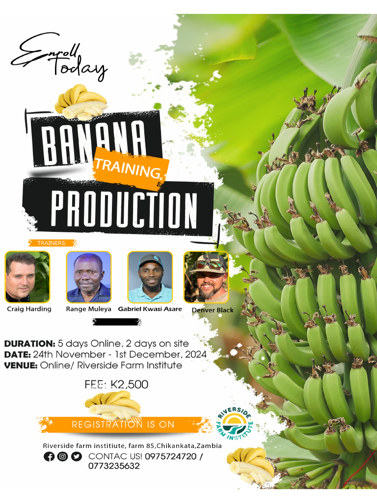 BANANA PRODUCTION TRAINING ADVERT-Recovered - PNG | PDF