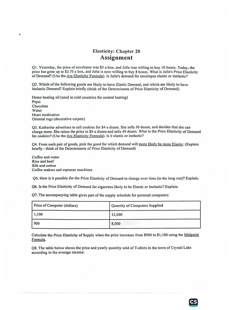 Eco101 - Elasticity Assignment (Short Version) | PDF