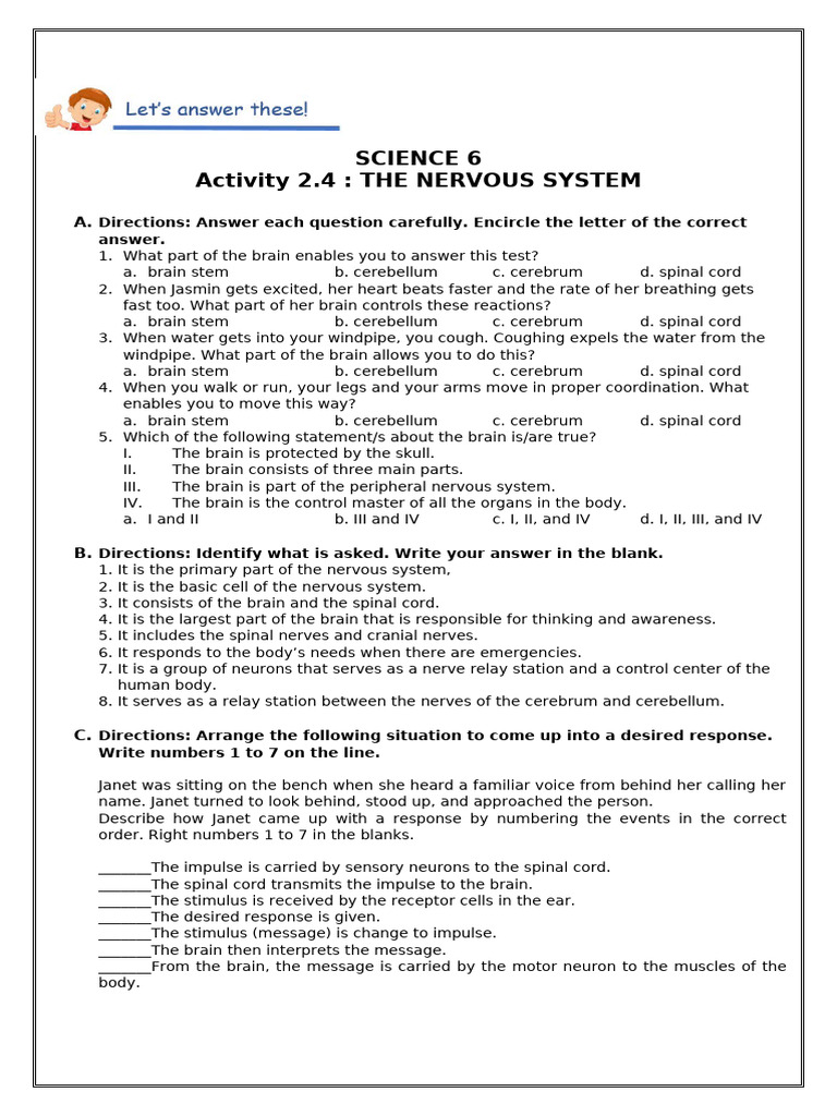 Science 6 Activity No. 2.4 | PDF | Brainstem | Central Nervous System
