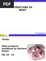 Structure and Composition of Meat | PDF | Connective Tissue | Meat