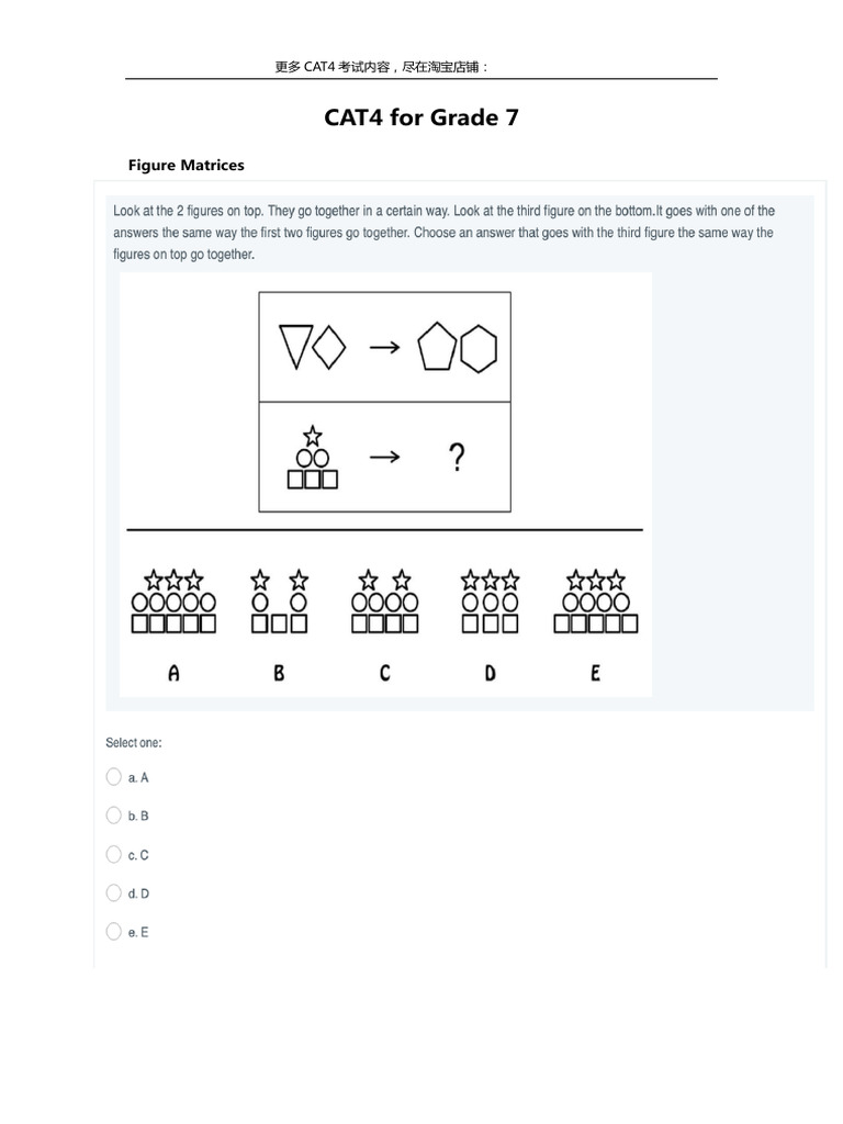 CAT4 For G7-05-Figure Matrices 1 | PDF