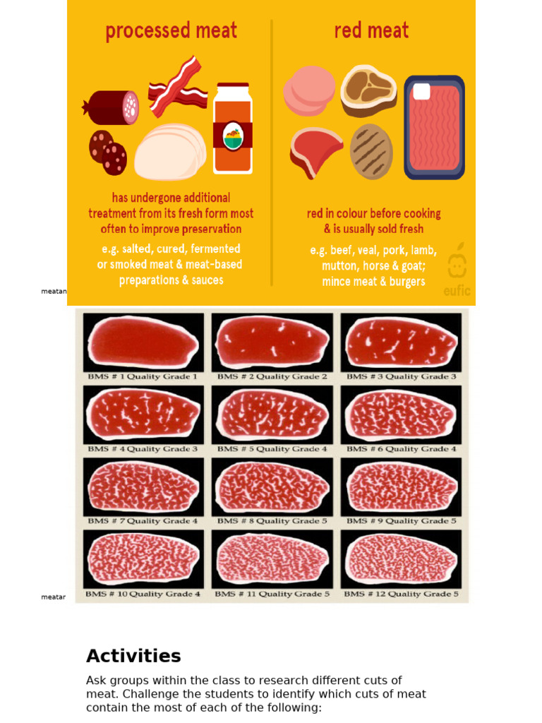 Meat Structure 8 | PDF