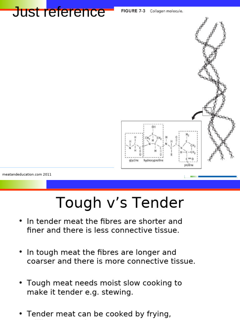 Meat Structure 6 | PDF | Cooking, Food & Wine