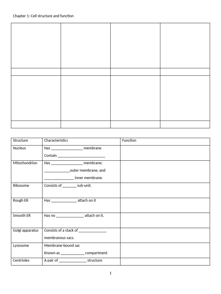 Cell Structure and Function Overview | PDF | Meiosis | Endoplasmic ...