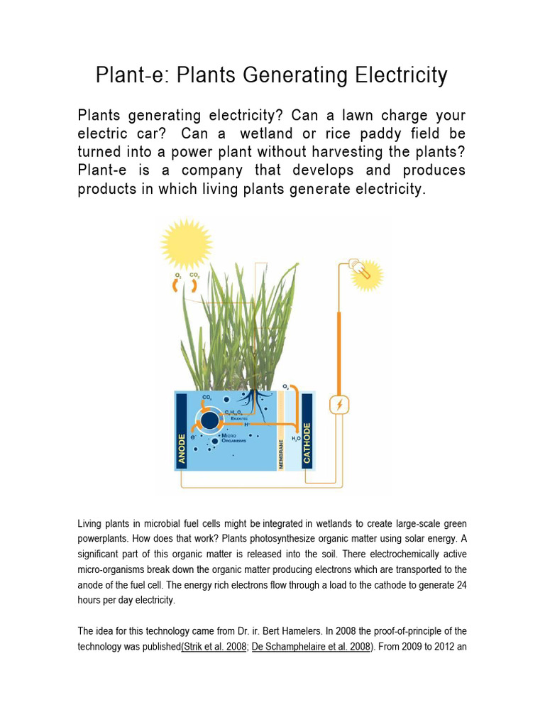 Plants That Generate Electricity | PDF | Electricity | Fuel Cell