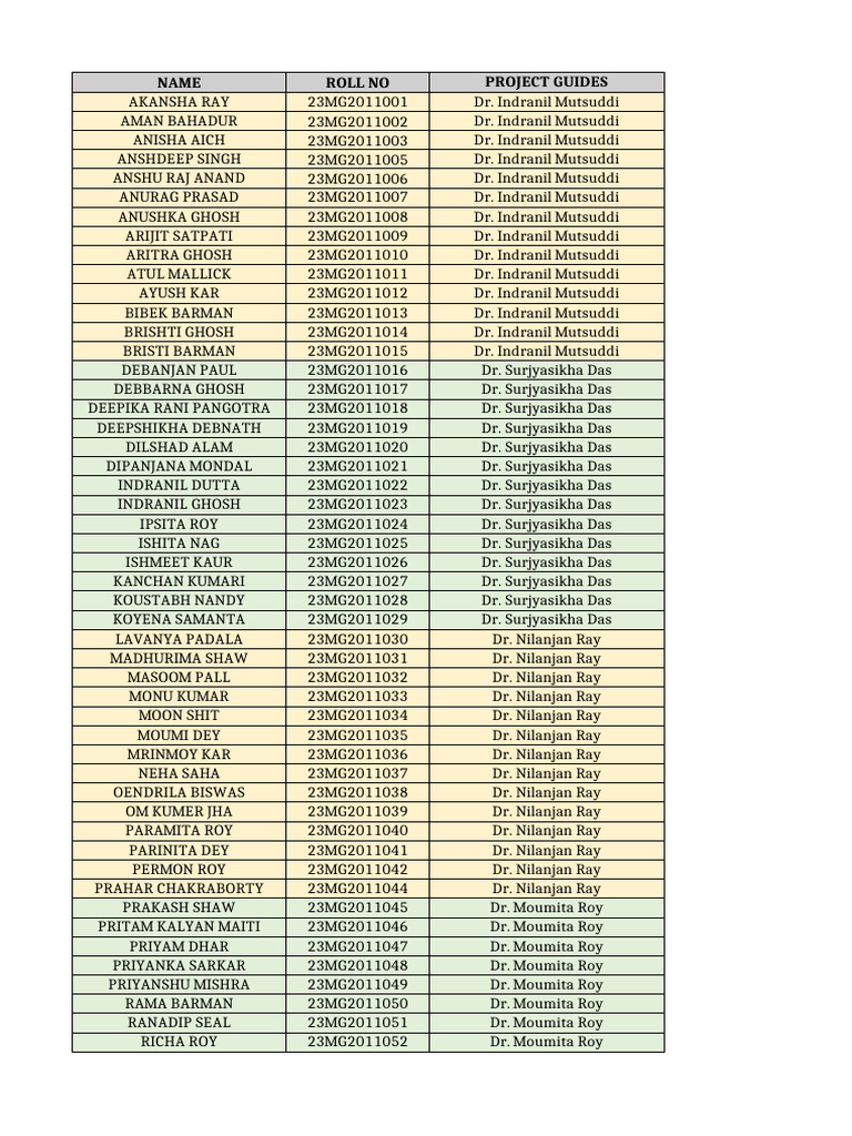 Project Guides_BBA 3 | PDF