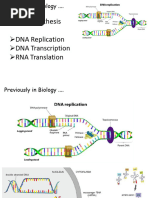 2C.2 Patterns of Inheritance | PDF | Dominance (Genetics) | Zygosity