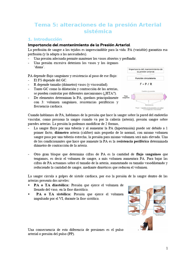 bloque cardio | PDF | Corazón | Sistema circulatorio