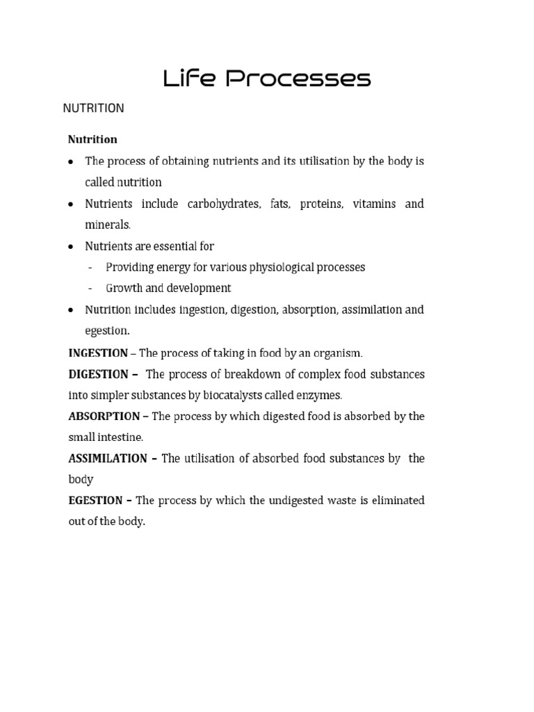 Life Processes Notes | PDF