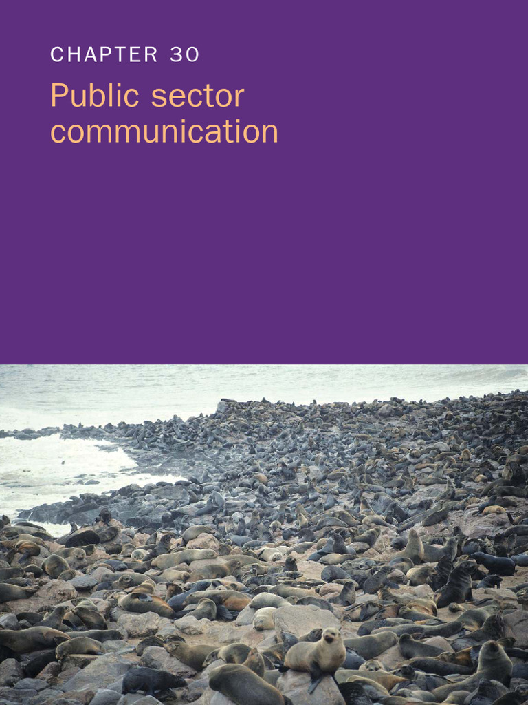 Chapter 30 - Public Sector Communication | PDF | Marketing | Communication