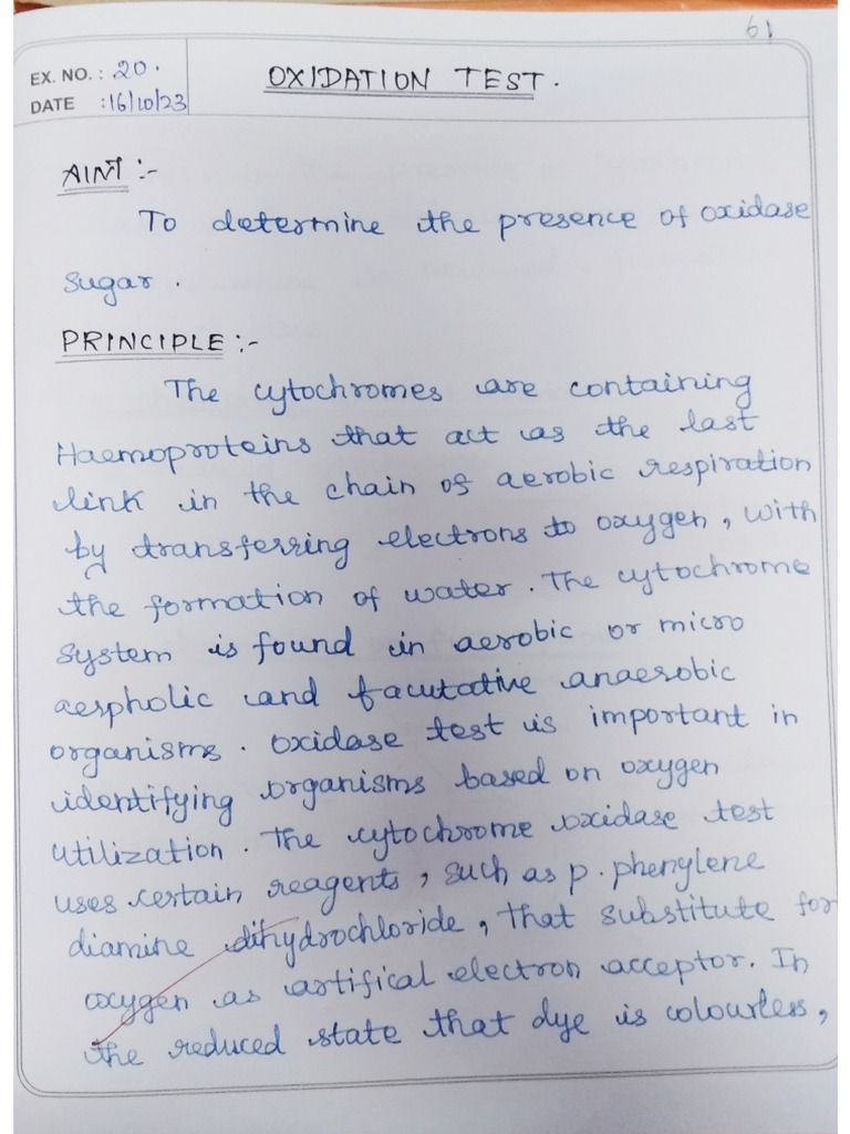 Experiment. No. 20 - Oxidation Test | PDF