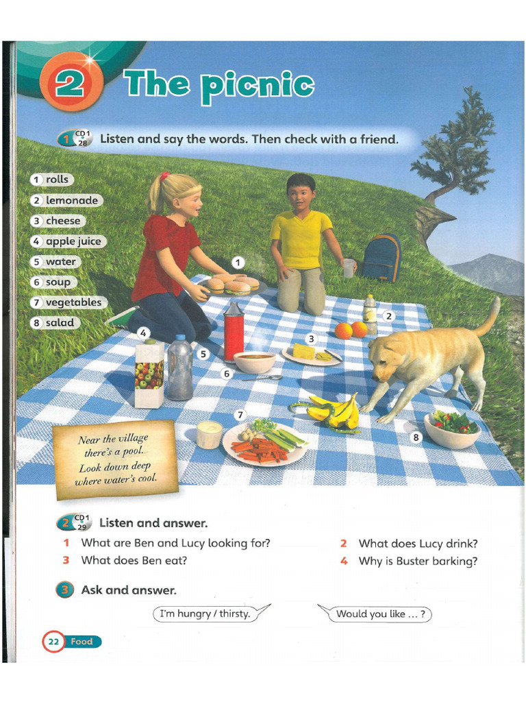 Picnic - Vocabulary | PDF