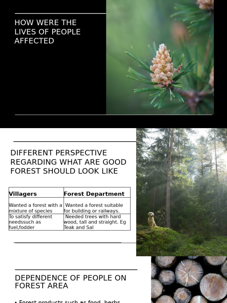 Class 9 History Ch-5 PPT P2 | PDF | Home & Garden