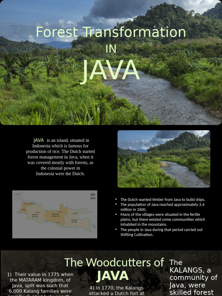 Class 9 History Ch-5 PPT P5 | PDF | Java | Forests