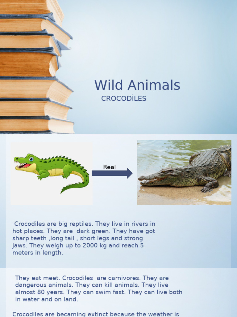 Crocodiles: Facts and Conservation Issues | PDF | Home & Garden