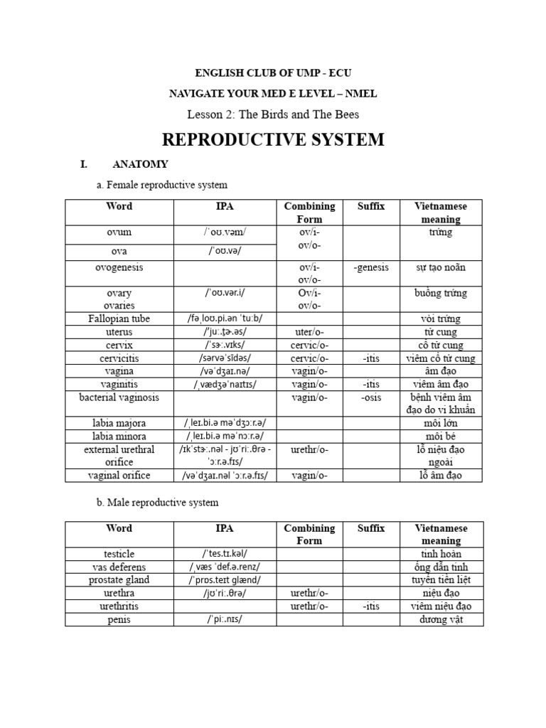 Nmel Bu I 2 Handout | PDF