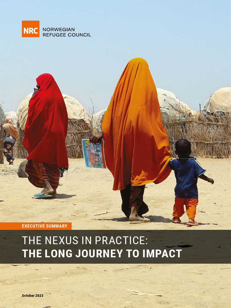 The Nexus in Practice - The Long Journey To Impact - Executive Summary ...