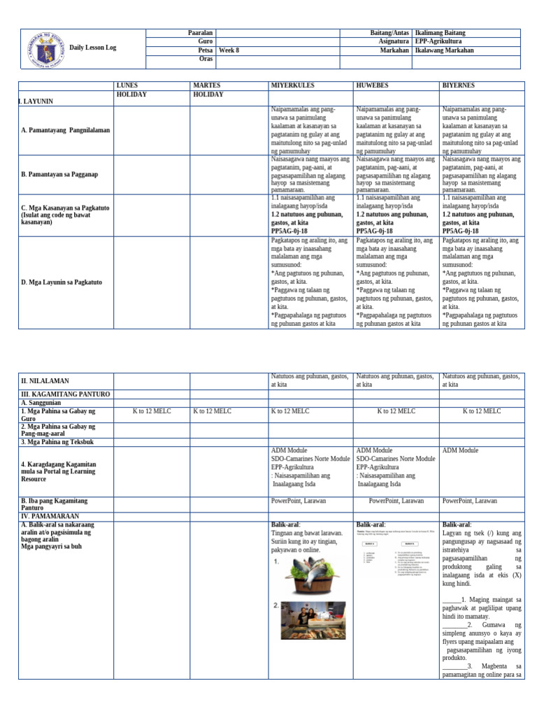 DLL Week 8 Epp | PDF
