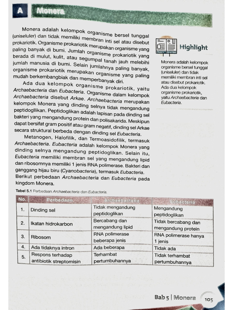 Catatan Bab 5 Monera | PDF