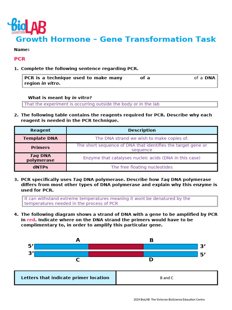 GH Cloning Prep Task 1 | PDF | Polymerase Chain Reaction | Gel ...