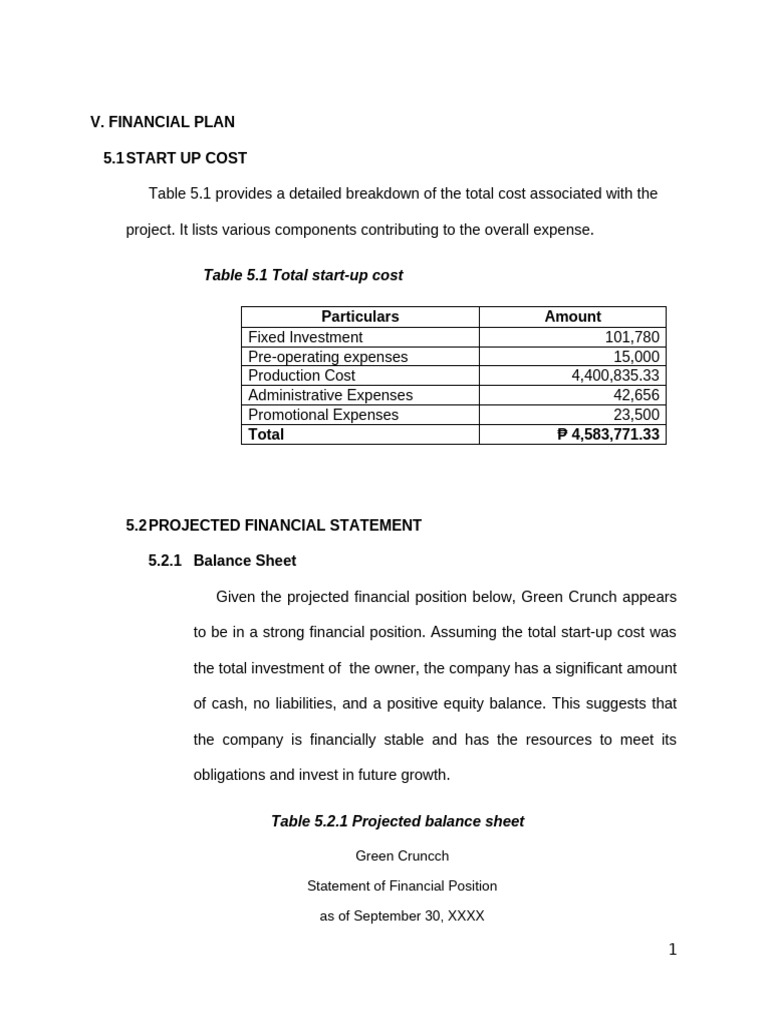 Financial Plan Sample - 063309 | PDF | Expense | Equity (Finance)
