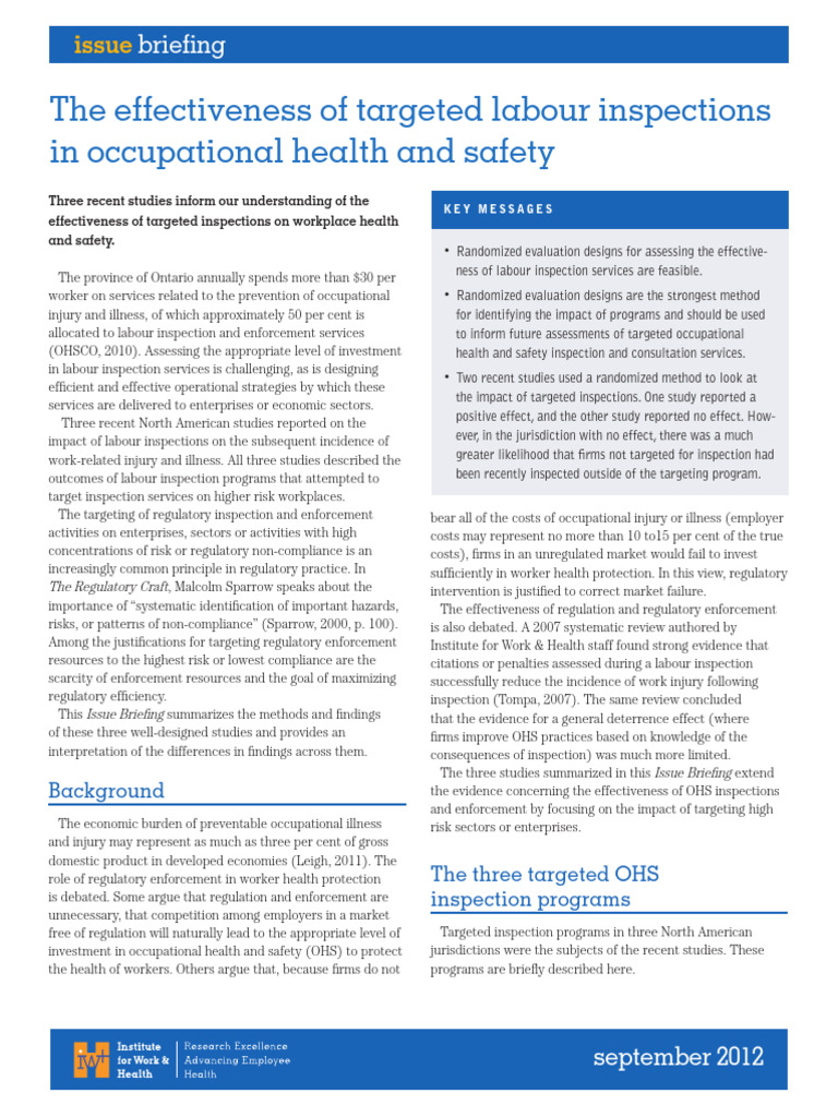 Iwh Issue Briefing Targeted Labour Inspections | PDF | Occupational ...