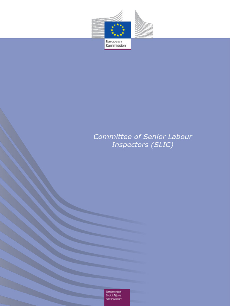 Common Principles For Labour Inspection - EN | PDF | Occupational ...