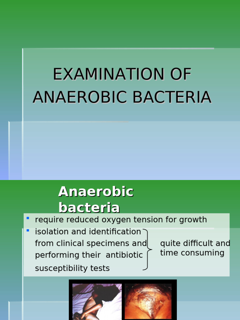 Anaerobic Bacteria LAB | PDF | Growth Medium | Bacteria
