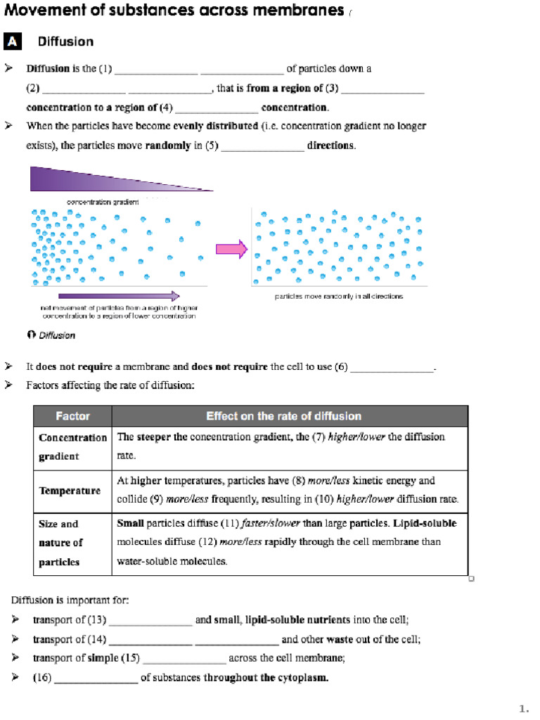 Y9. Movement in and Out | PDF | Technology & Engineering