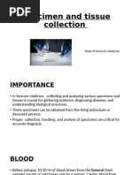 Viscera Collection and Preservation Guide | PDF | Abdomen | Liver