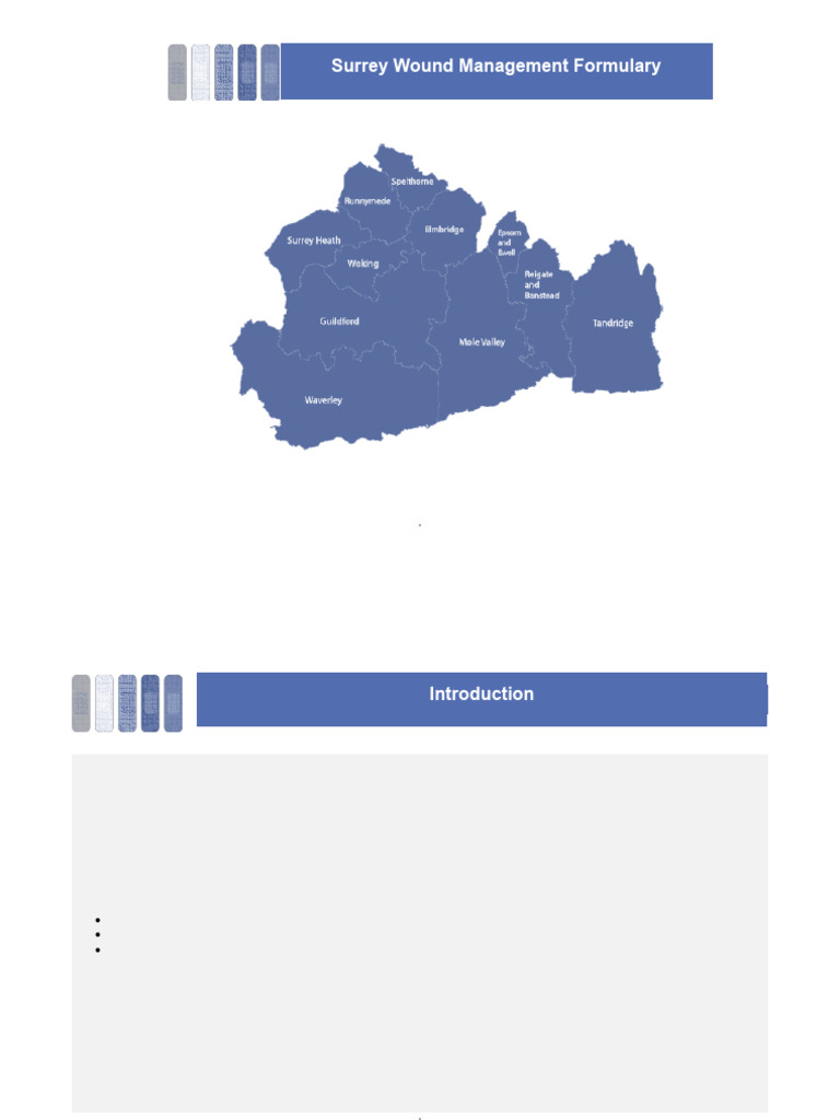 SWM Formulary FINAL June 2019 | PDF | Wound | Pain