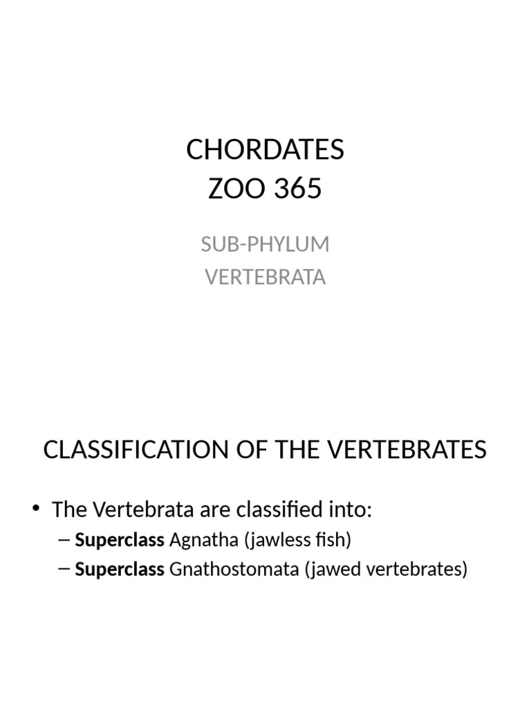 Chordates (ZOO 365) Classification of The Vertebrata | PDF | Vertebrates
